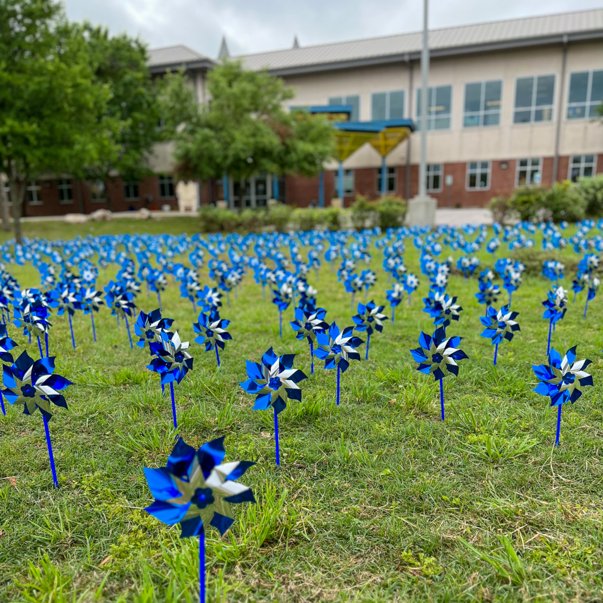 819 Pinwheels. 819 Brave Little Voices. - The Center for Child Protection